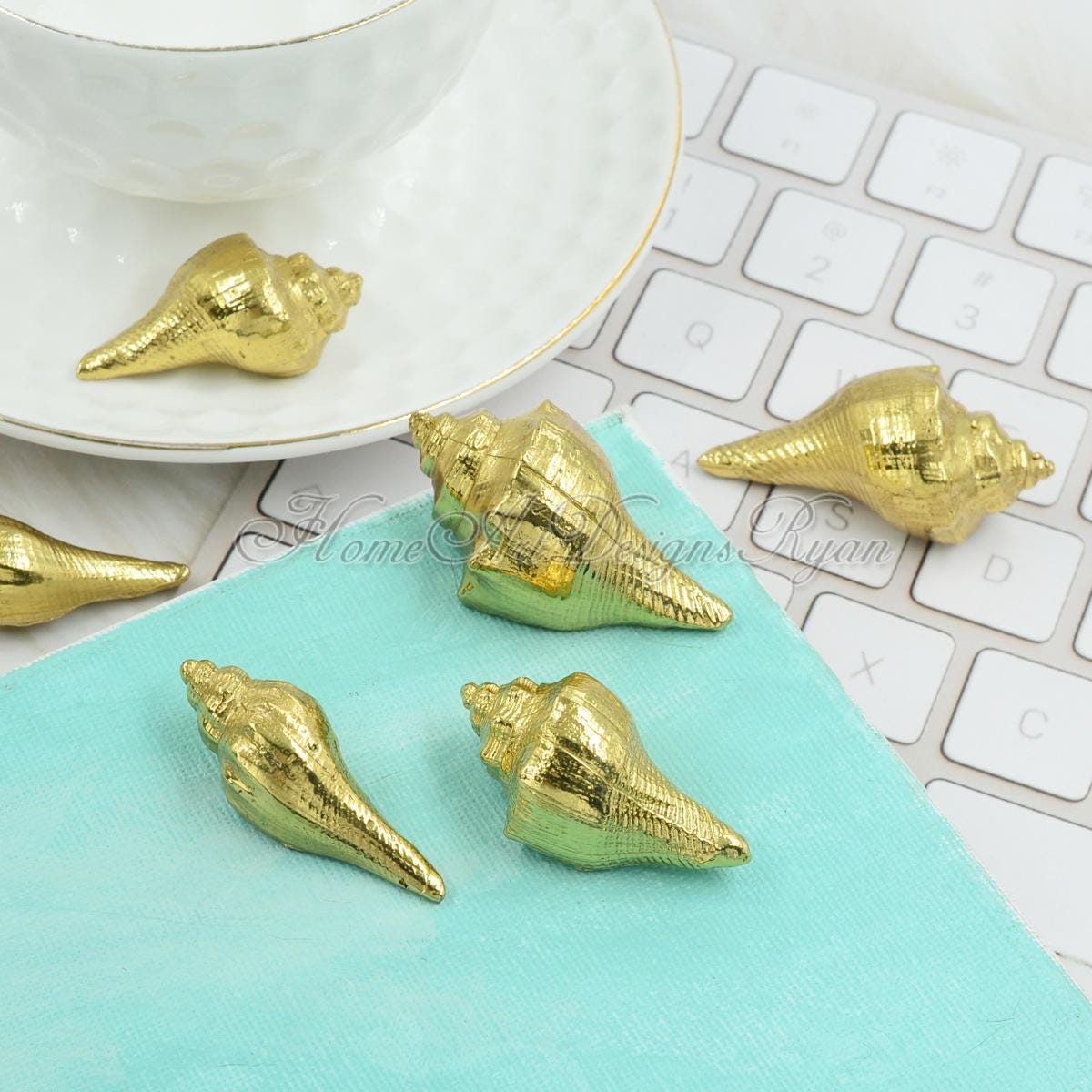 Brass Conch Knobs,kitchen Cabinet Knobs,brass Drawer Knob,drawer Pulls ...