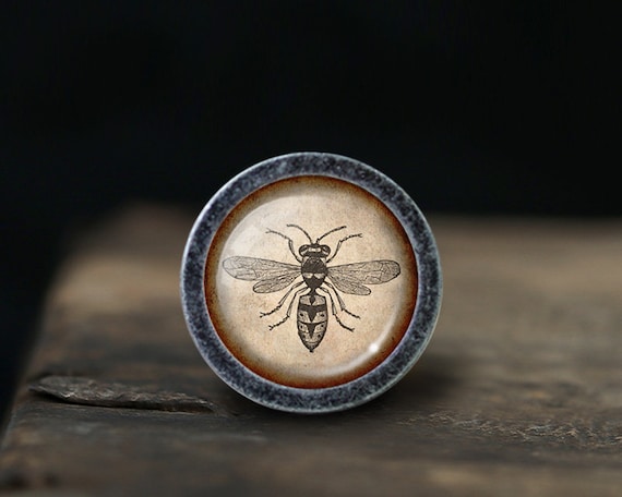 Retro Bee Knobs Drawer Knobs Pulls Kitchen Cabinet Pulls - Etsy