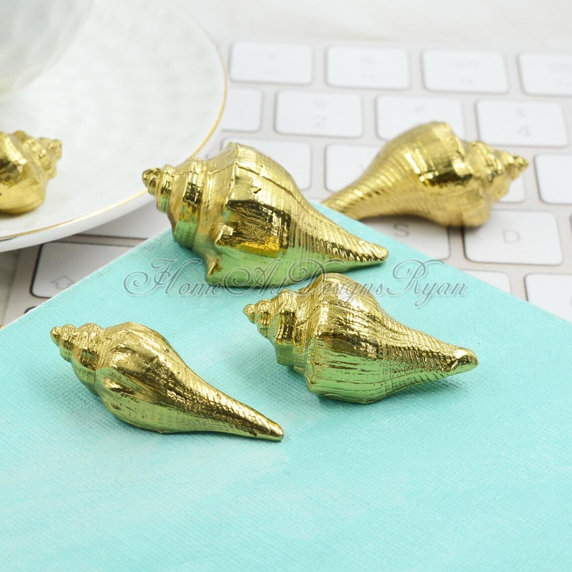 Brass Conch Knobs,kitchen Cabinet Knobs,brass Drawer Knob,drawer Pulls ...