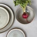 FOUR Piece Set of Gray Dinnerware, Main Course Plate, Salad Plate, Cake ...