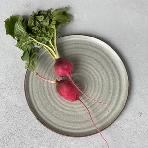 FOUR Piece Set of Gray Dinnerware, Main Course Plate, Salad Plate, Cake ...