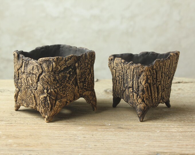 Pot for Succulents, Lithops, Cacti / Pot With Irregular Shape Very ...