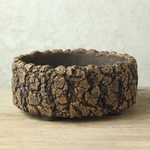 Low Pot for Bonsai, Lithops, Rustic Natural-looking Pot / Organic Pot ...