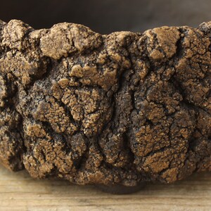 Low Pot for Bonsai, Lithops, Rustic Natural-looking Pot / Organic Pot ...