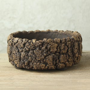 Low Pot for Bonsai, Lithops, Rustic Natural-looking Pot / Organic Pot ...