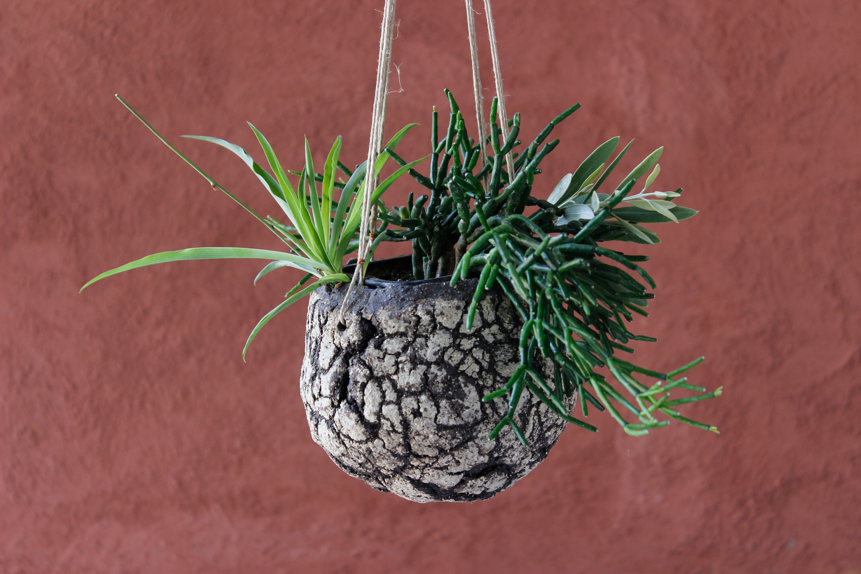 Hanging organic pot Home Décor Indoor Planters etna.com.pe