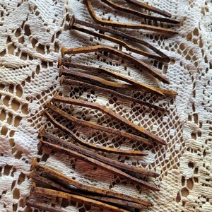 OLD RUSTY NAILS Hand Forged ,set of 20 Rusty Nails From Old Polish ...