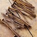 OLD RUSTY NAILS Hand Forged ,set of 20 Rusty Nails From Old Polish ...