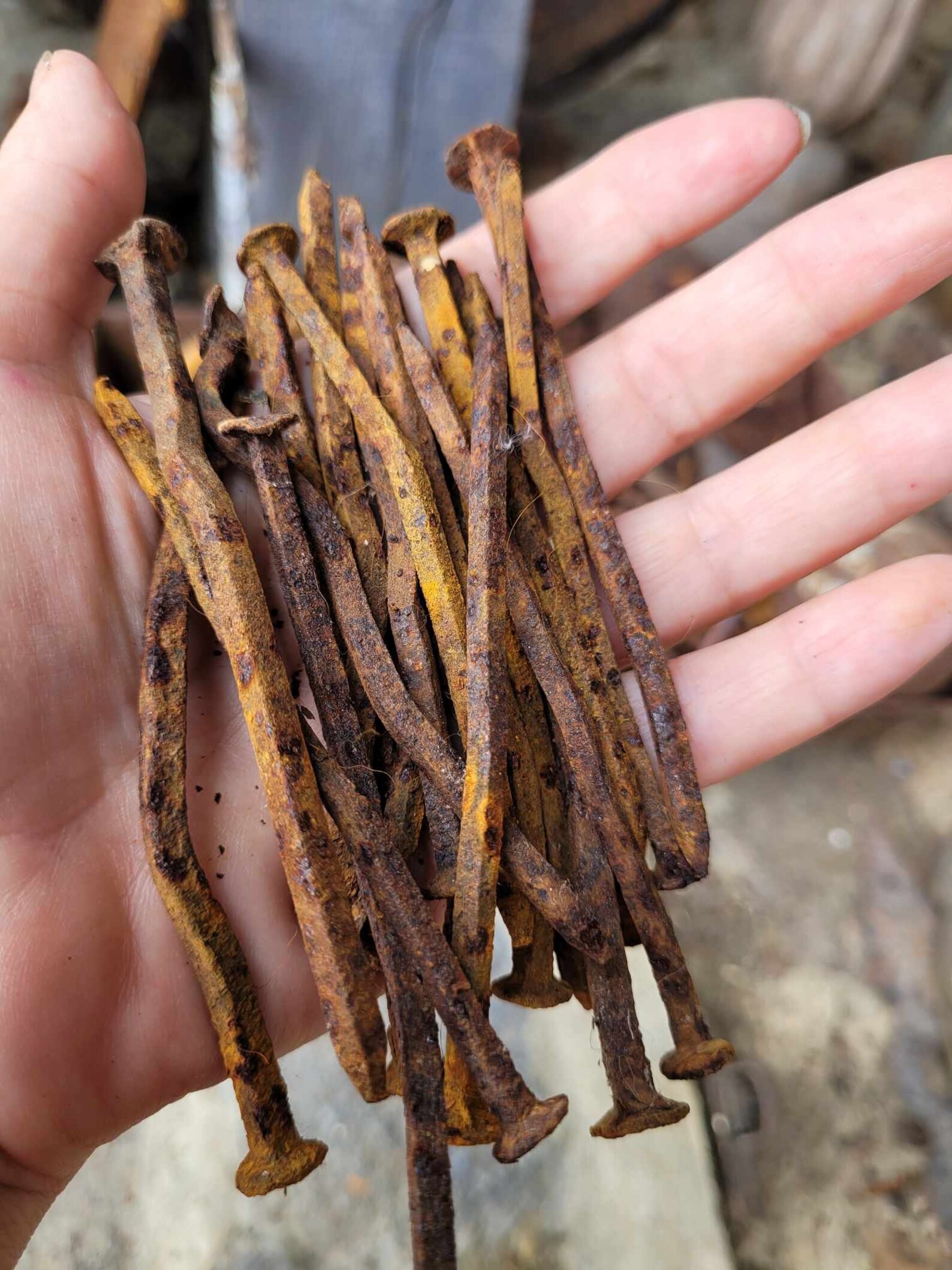 OLD RUSTY NAILS Hand Forged ,set of 20 Rusty Nails From Old Polish ...