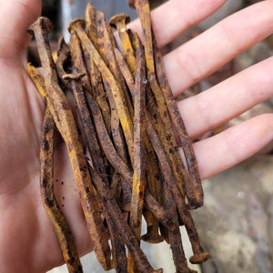 OLD RUSTY NAILS Hand Forged ,set of 20 Rusty Nails From Old Polish ...