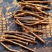 OLD RUSTY NAILS Hand Forged ,set of 20 Rusty Nails From Old Polish ...