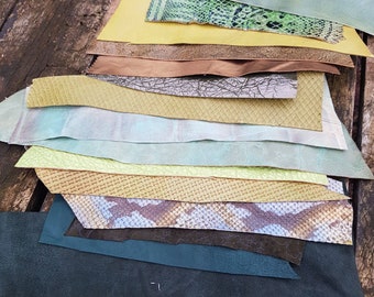 Frog Skin Leather - Etsy