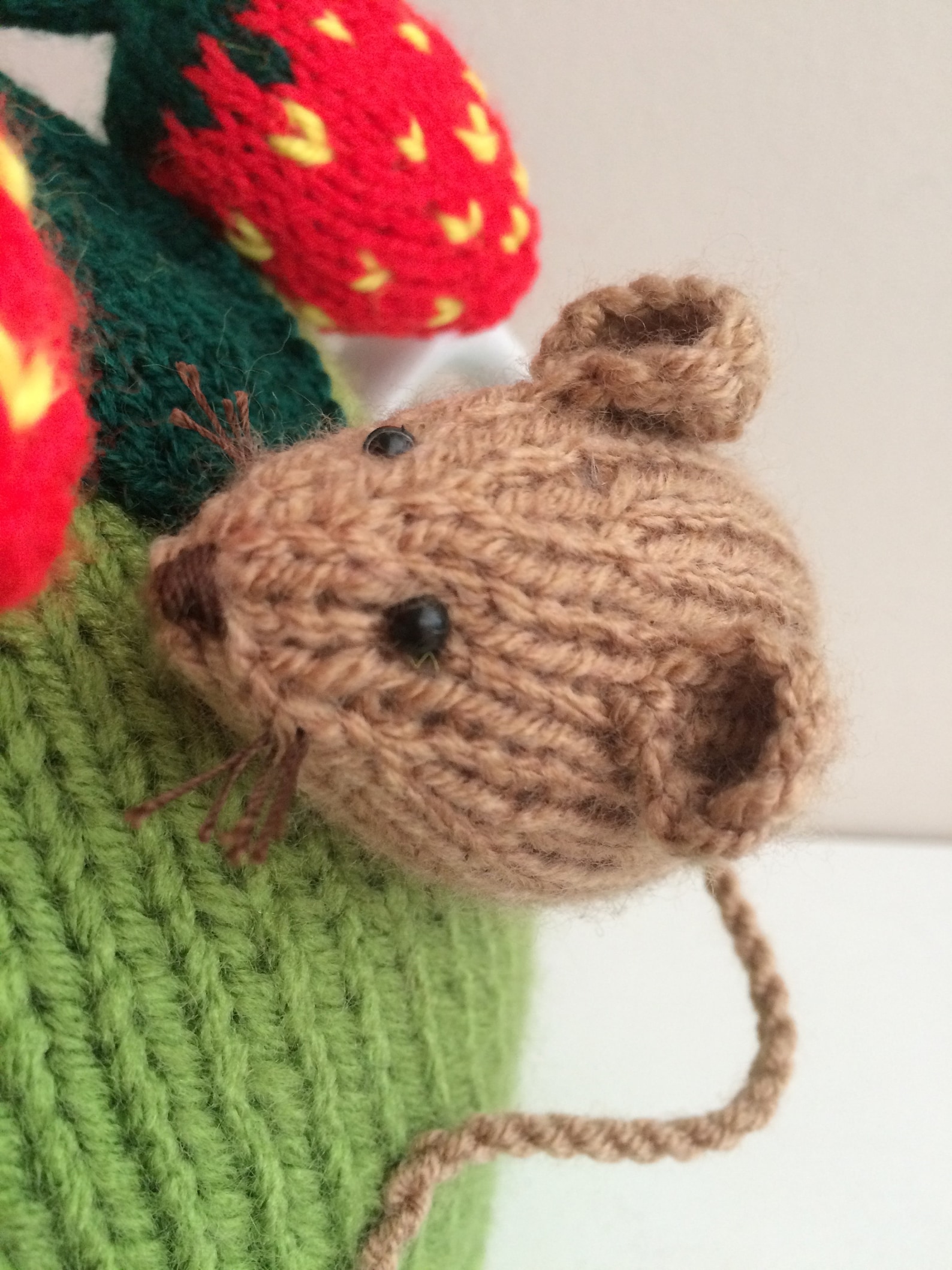 Tea Cosy Knitting Pattern. PDF Digital Download. Pesky Mouse - Etsy