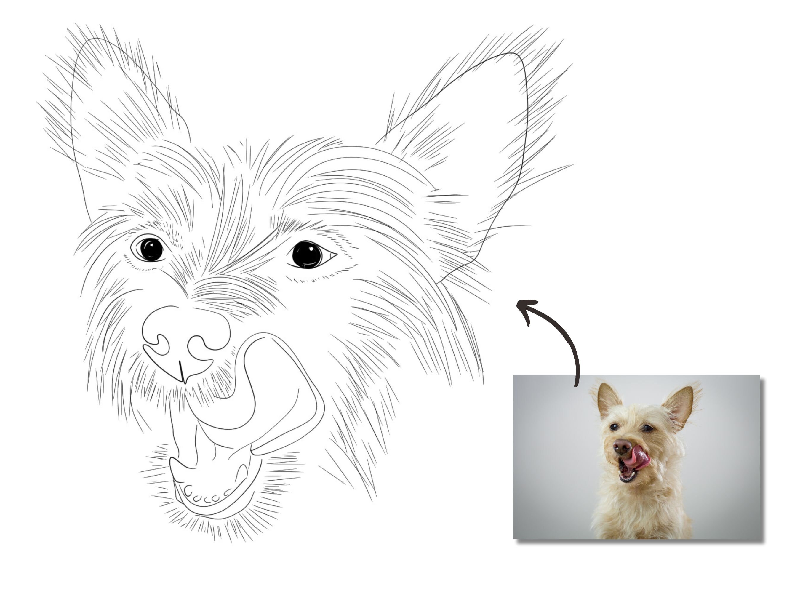 Dog Line Drawing Dog Outline Custom Line Drawing Pet Line - Etsy