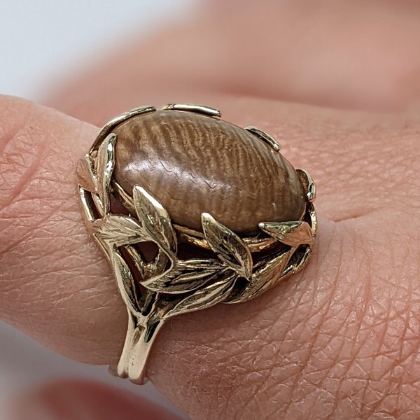 Petrified Wood - Etsy