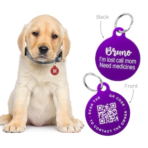 Custom QR Code Pet ID Tag, Personalized Engraved Smart Scannable ...