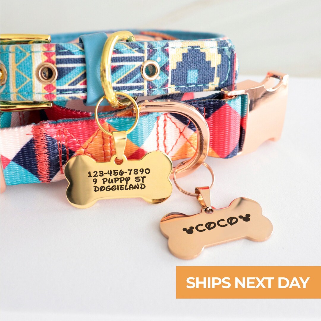 Personalized Disney Dog Tag, Mickey Bone Pet ID Tags, Custom Cute ...