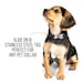 Qr Code Smart Slide on Bone Pet Tag, Scannable Martingale Silent Dog ...