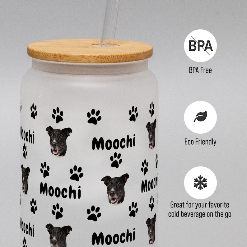 Custom Pet Face Portrait Picture Frosted Beer Can Glass With Lid, 16oz ...