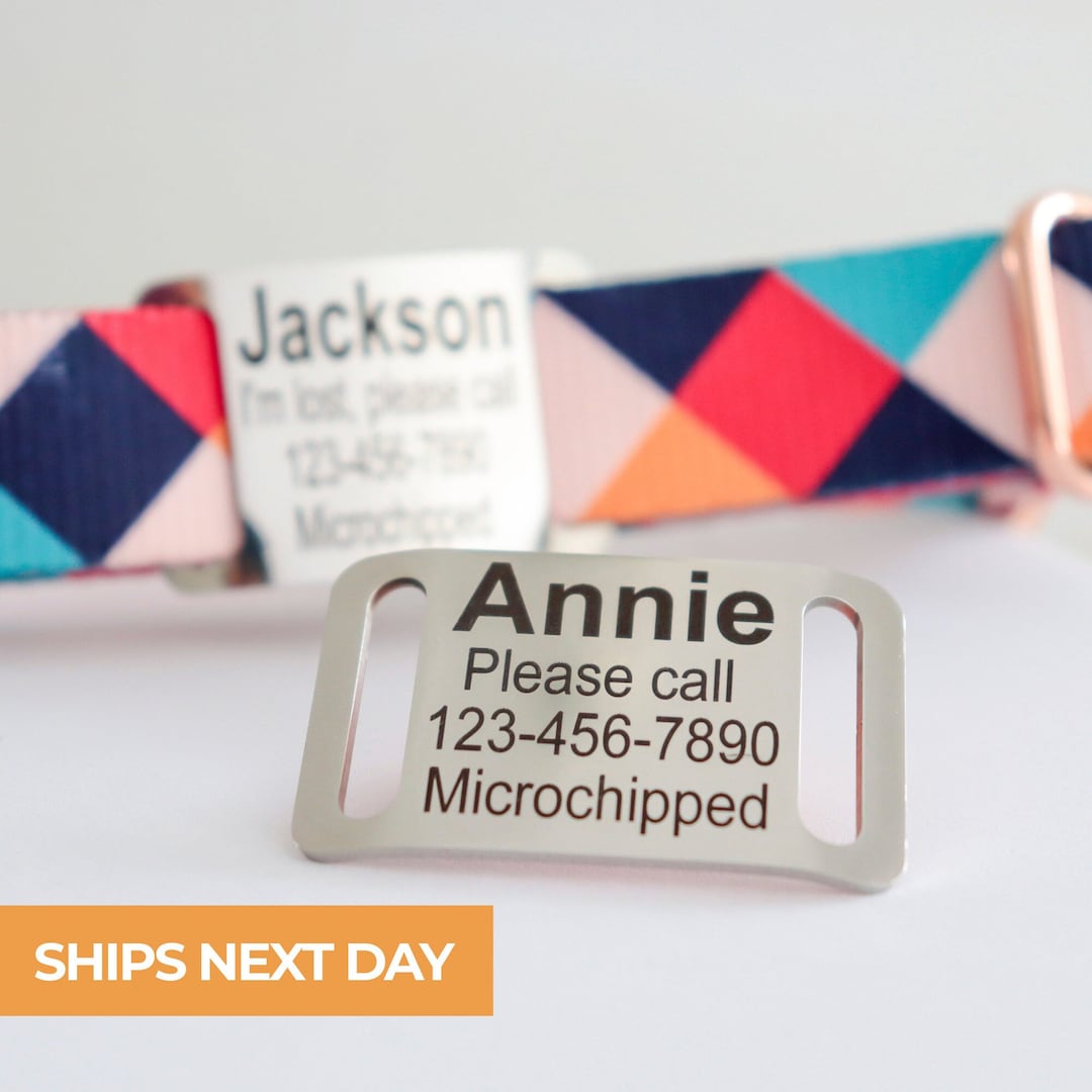 Buy Personalized Silver Slide on Pet ID Tag Dog Collars, Custom ...