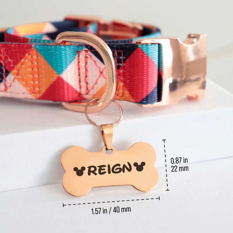 Personalized Disney Dog Tag, Mickey Bone Pet ID Tags, Custom Cute ...