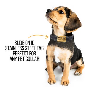 Qr Code Smart Slide on Dog Tag, Custom Scannable Pet ID Tag, Collars ...