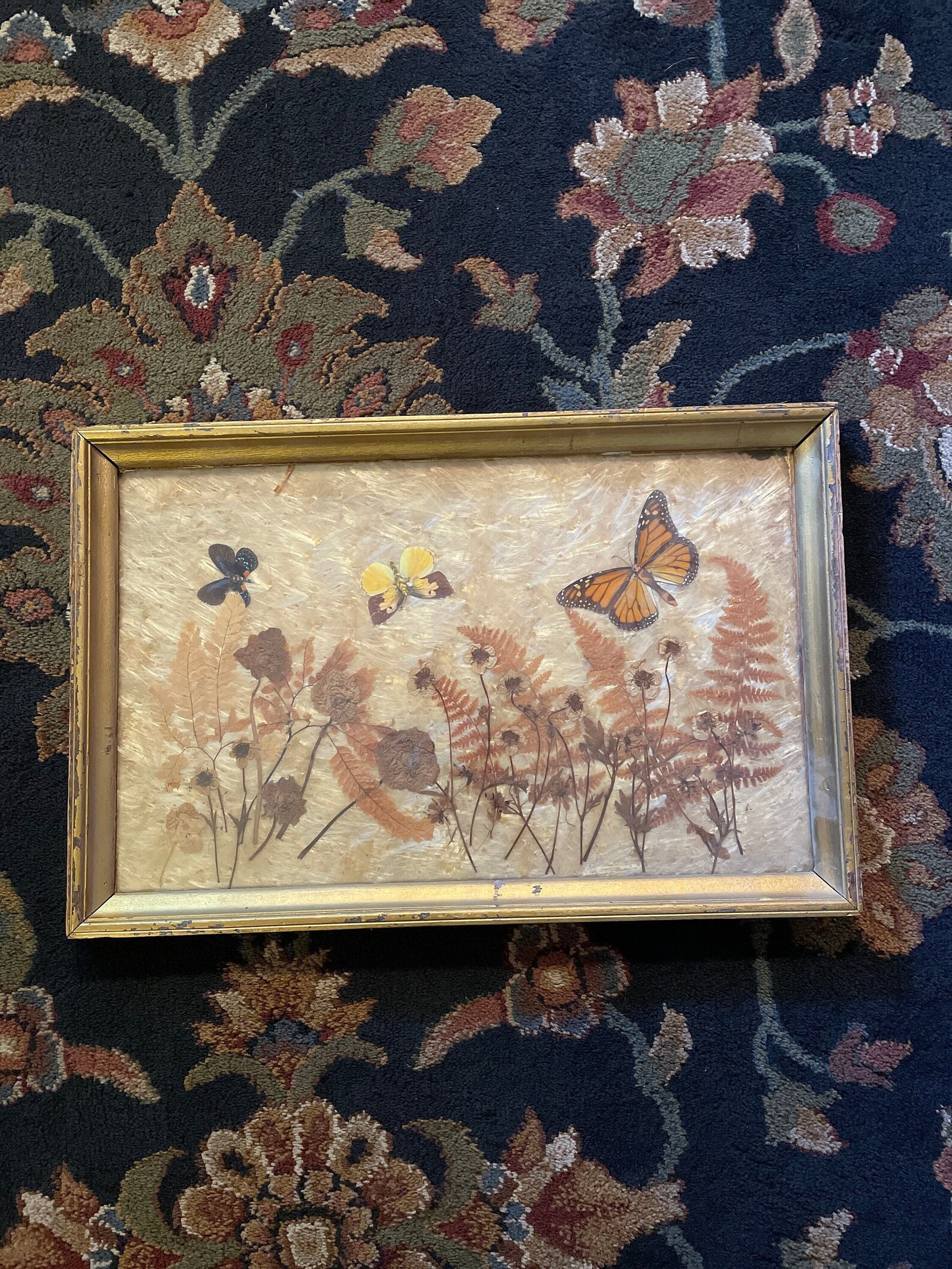 Antique Butterfly and Flower Taxidermy Art Deco 1920s 1930s Gothic ...