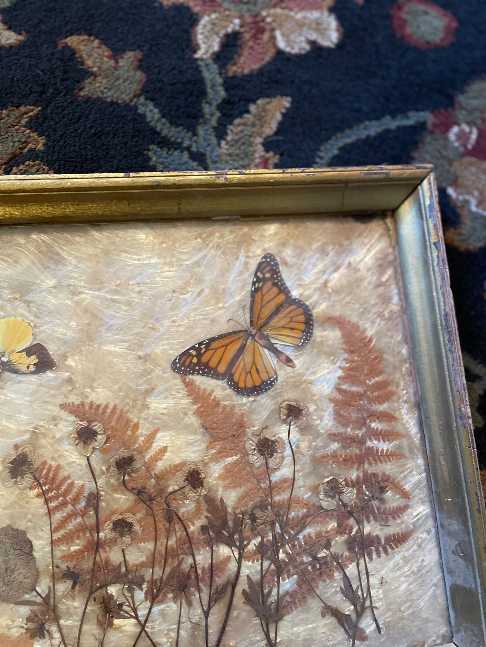 Antique Butterfly and Flower Taxidermy Art Deco 1920s 1930s Gothic ...