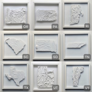 3D State Map Wall Art | 3D Printed Terrain and Topography Map | State ...