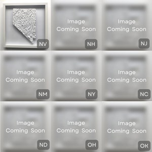 3D State Map Wall Art 3D Printed Terrain and Topography Map - Etsy