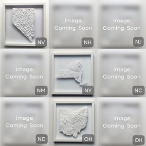3D State Map Wall Art | 3D Printed Terrain and Topography Map | State ...