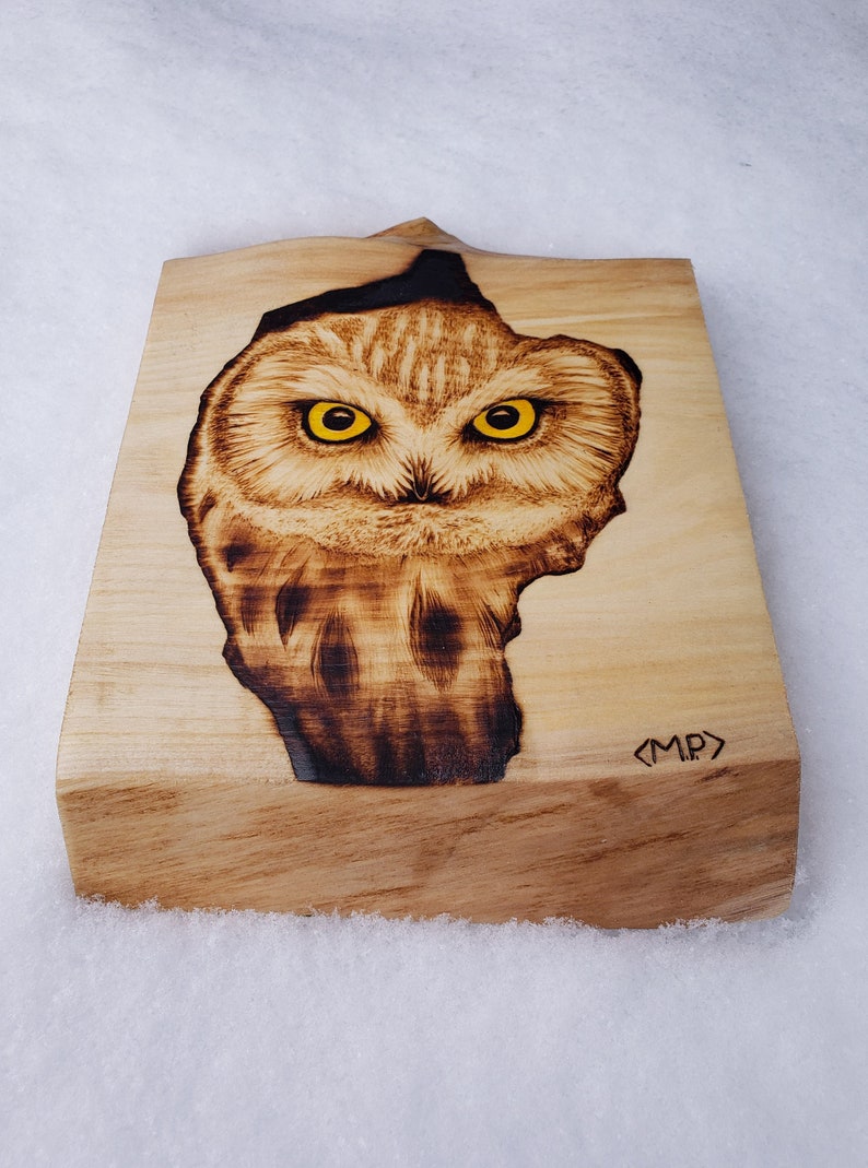 Owl Pyrography/woodburning Art - Etsy