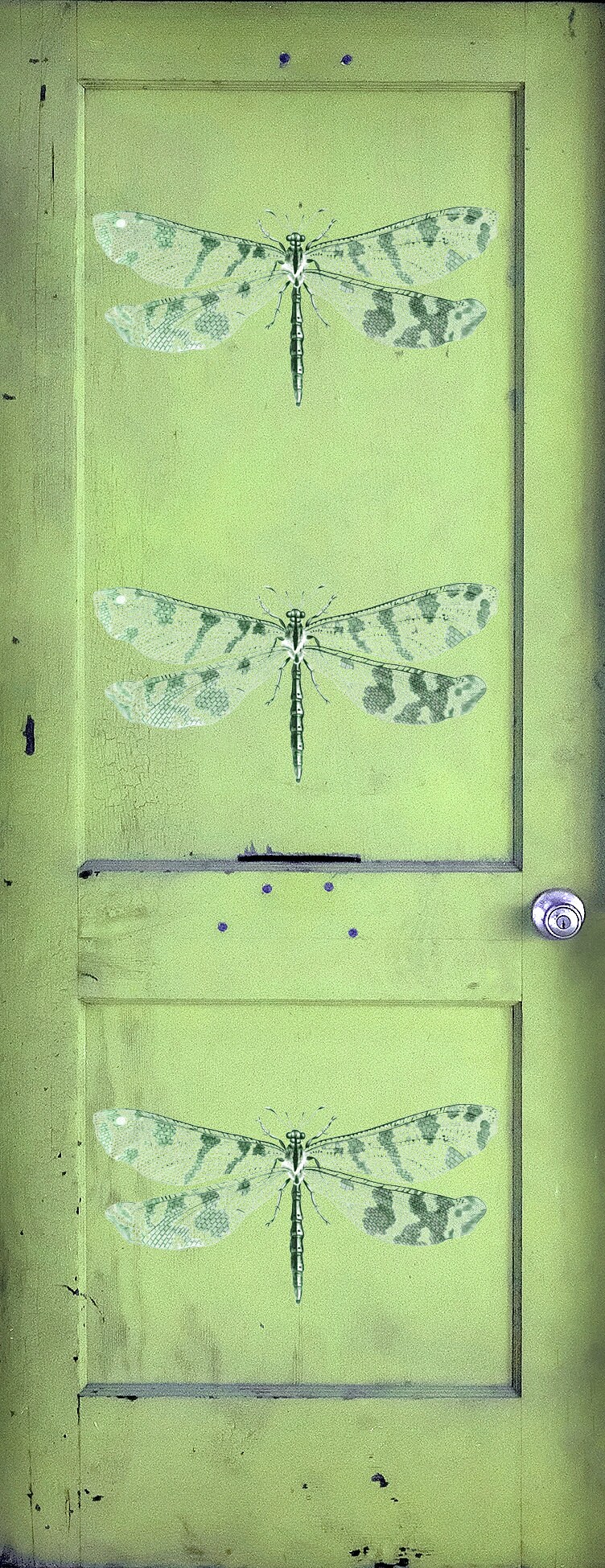 Dragonfly Faux Miniature Paper Doors, Printed Doors Mounted on Chip ...