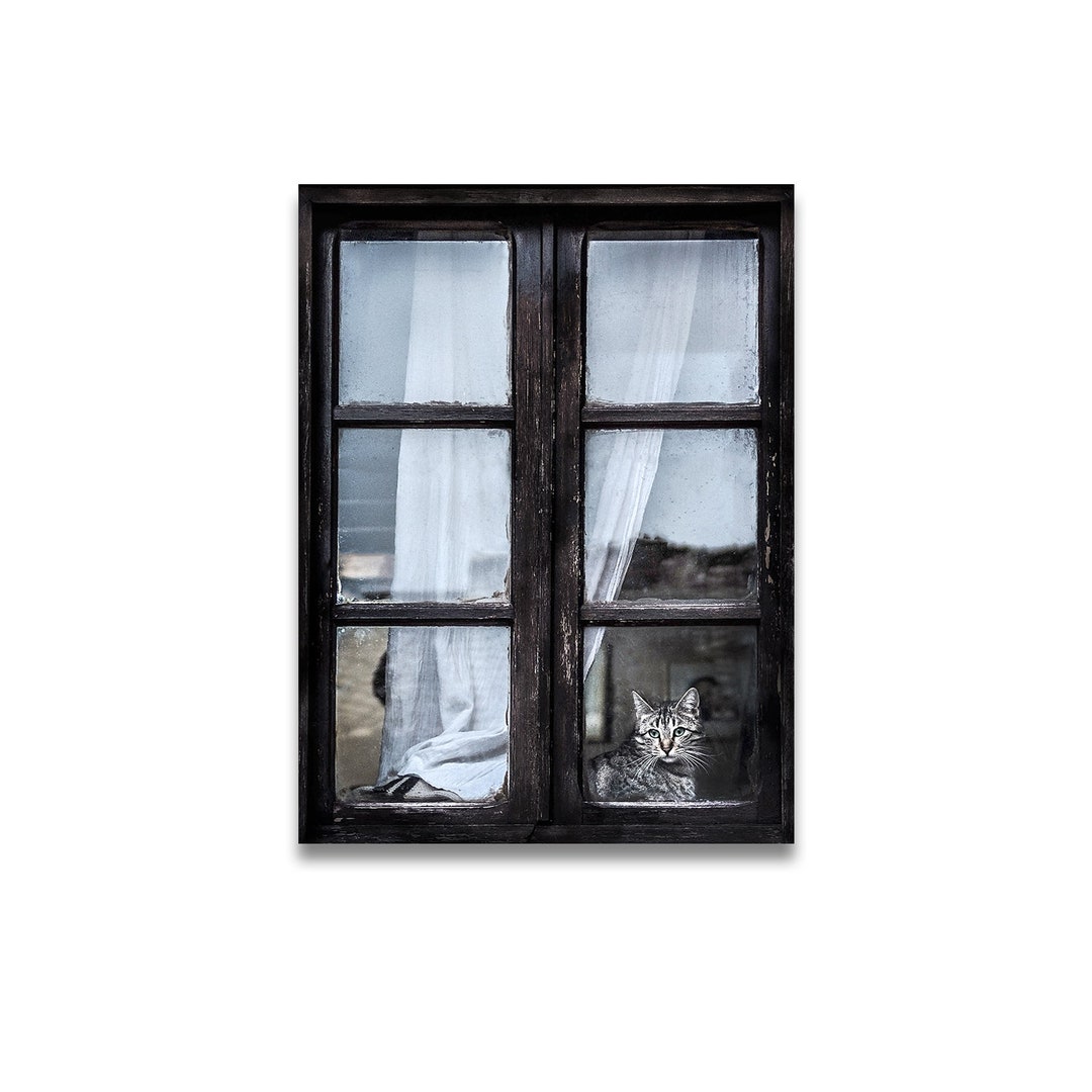 Faux Miniature Paper Window With Cat, Doll and Fairy House Display, DIY ...