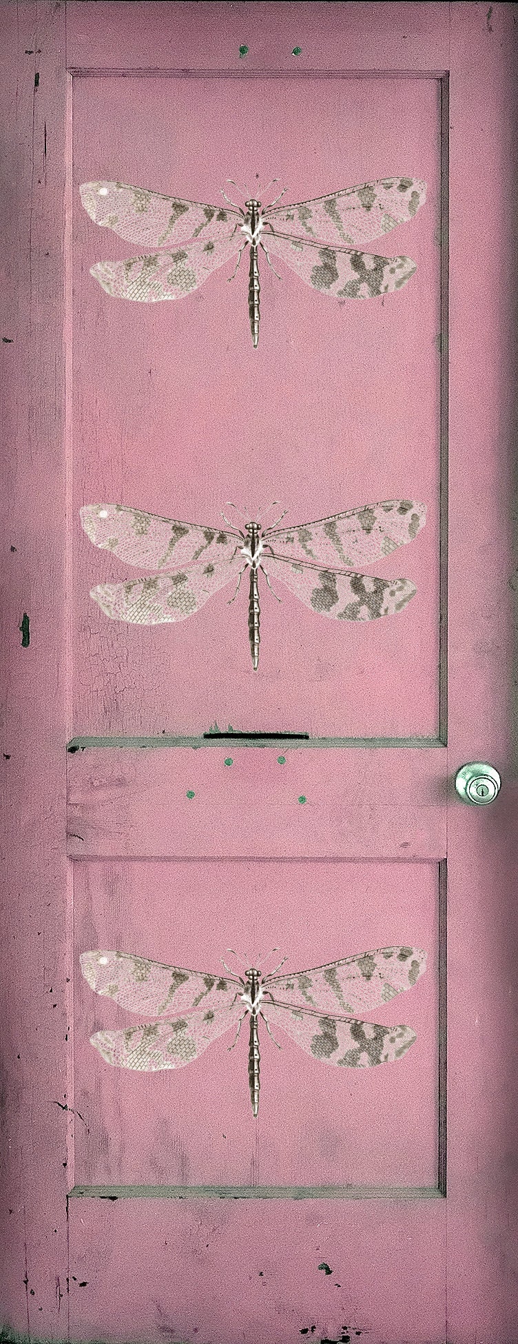 Dragonfly Faux Miniature Paper Doors, Printed Doors Mounted on Chip ...