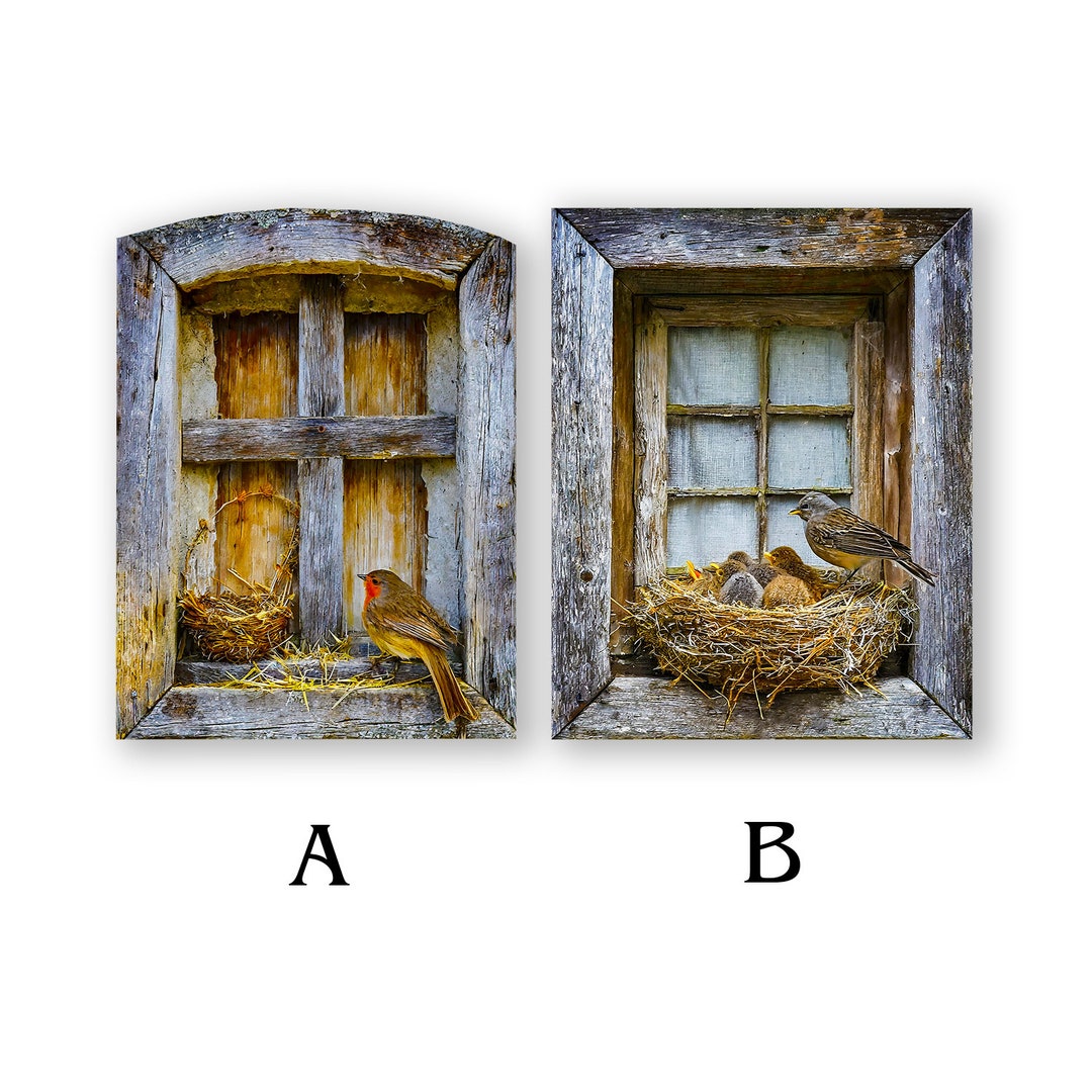 Fake Paper Windows/rustic Bird Windows/barn Windows/diorama Windows ...