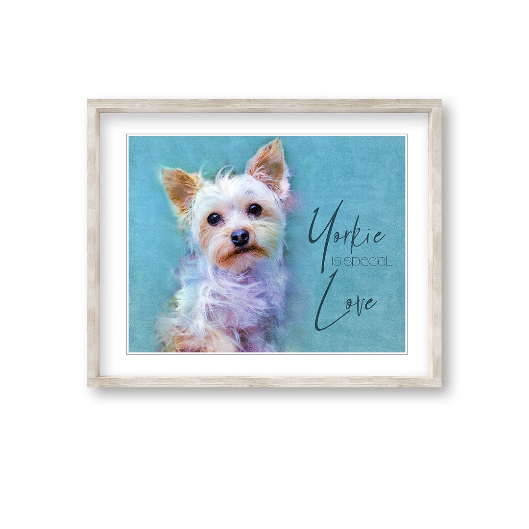 Miniature Yorkie Painting/frame and Art Work Printed on High End Photo ...