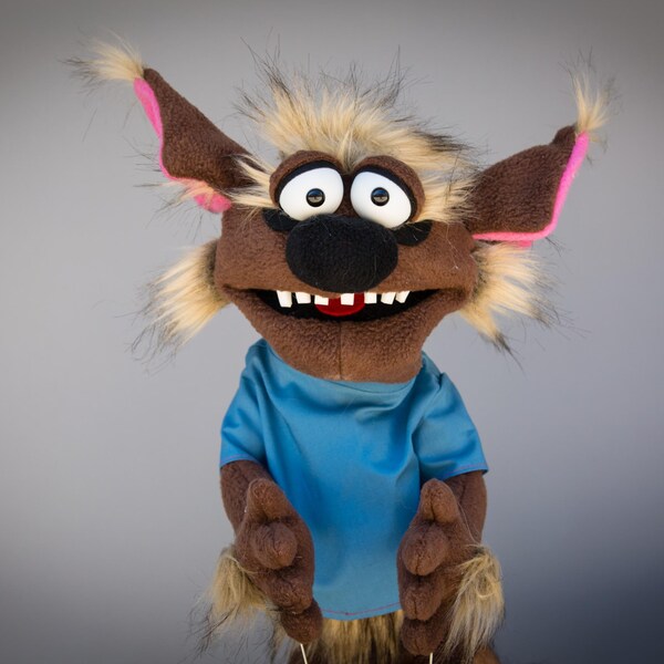 Baby Einstein Puppets - Etsy