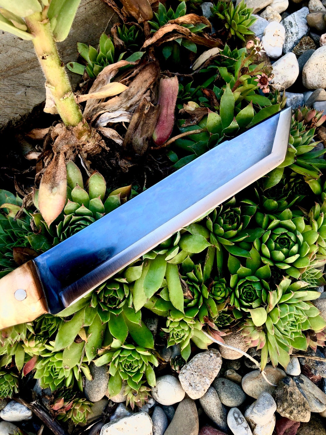 Made to Order by Rocky Ridge Forge Created This Beautiful Tanto Style ...