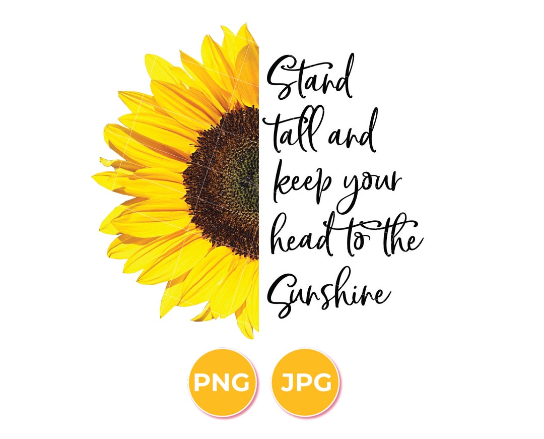 Sunflower Stand Tall and Keep Your Face the Sun, Sunshine, Sunflower ...