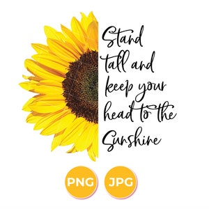 Sunflower Stand Tall and Keep Your Face the Sun, Sunshine, Sunflower ...