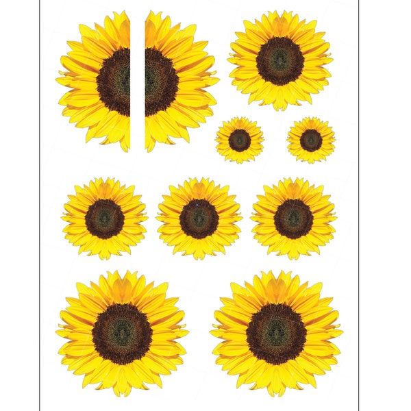 Sunflower Waterslide - Etsy