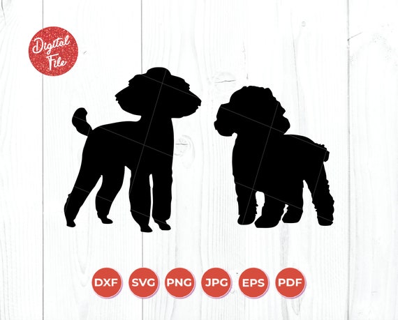 Toy Poodle SVG Teacup Pudle Cutfile Poodle Svg Toy Poodle | Etsy Australia