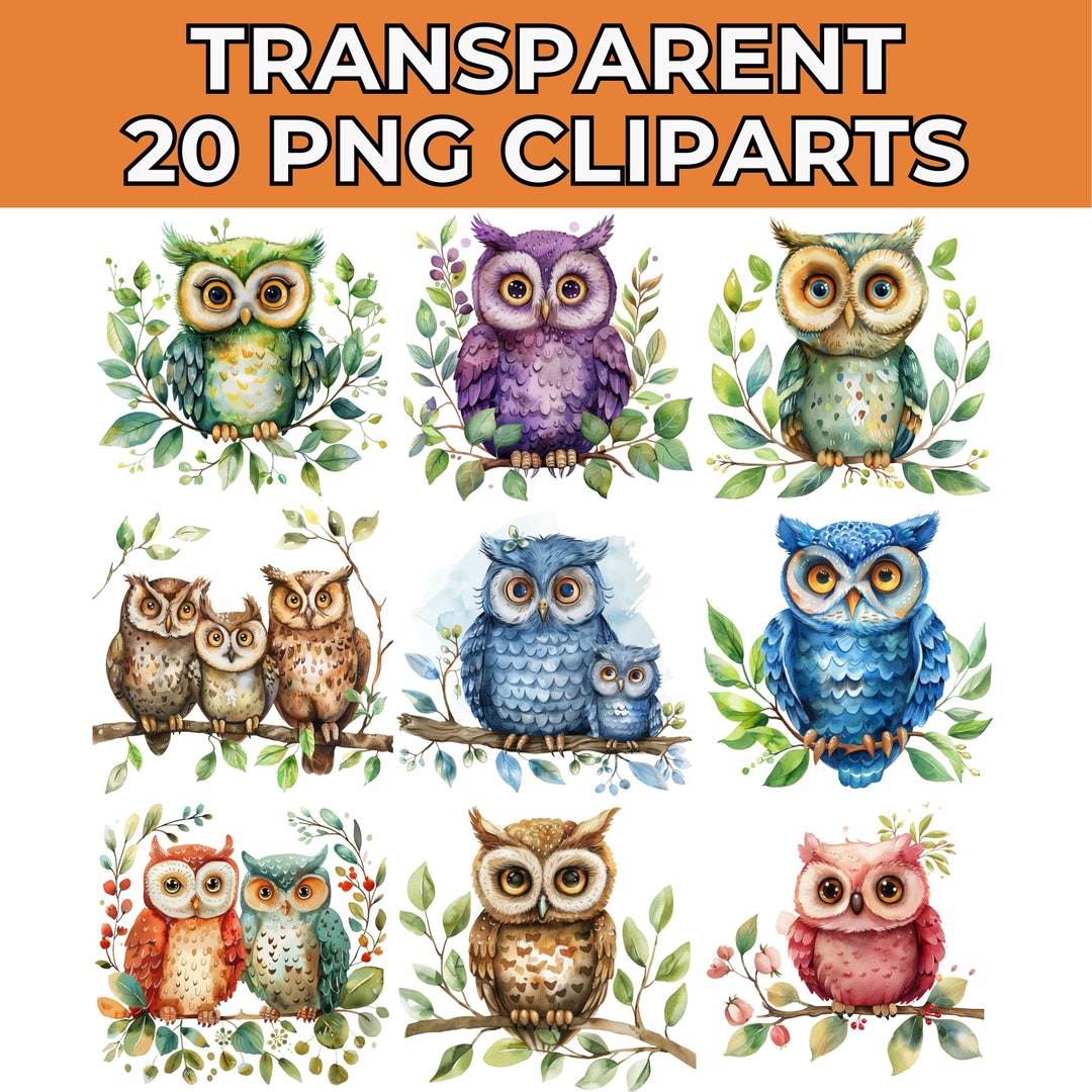 Adorable Baby Owl Clipart Bundle, 20 High-quality PNG With Transparent ...