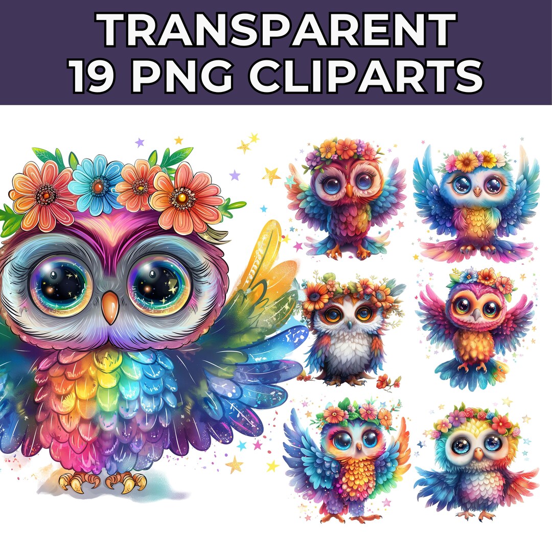 19 Owl Clipart Bundle | Sparkling Owl Sublimation Clipart | Colorful ...