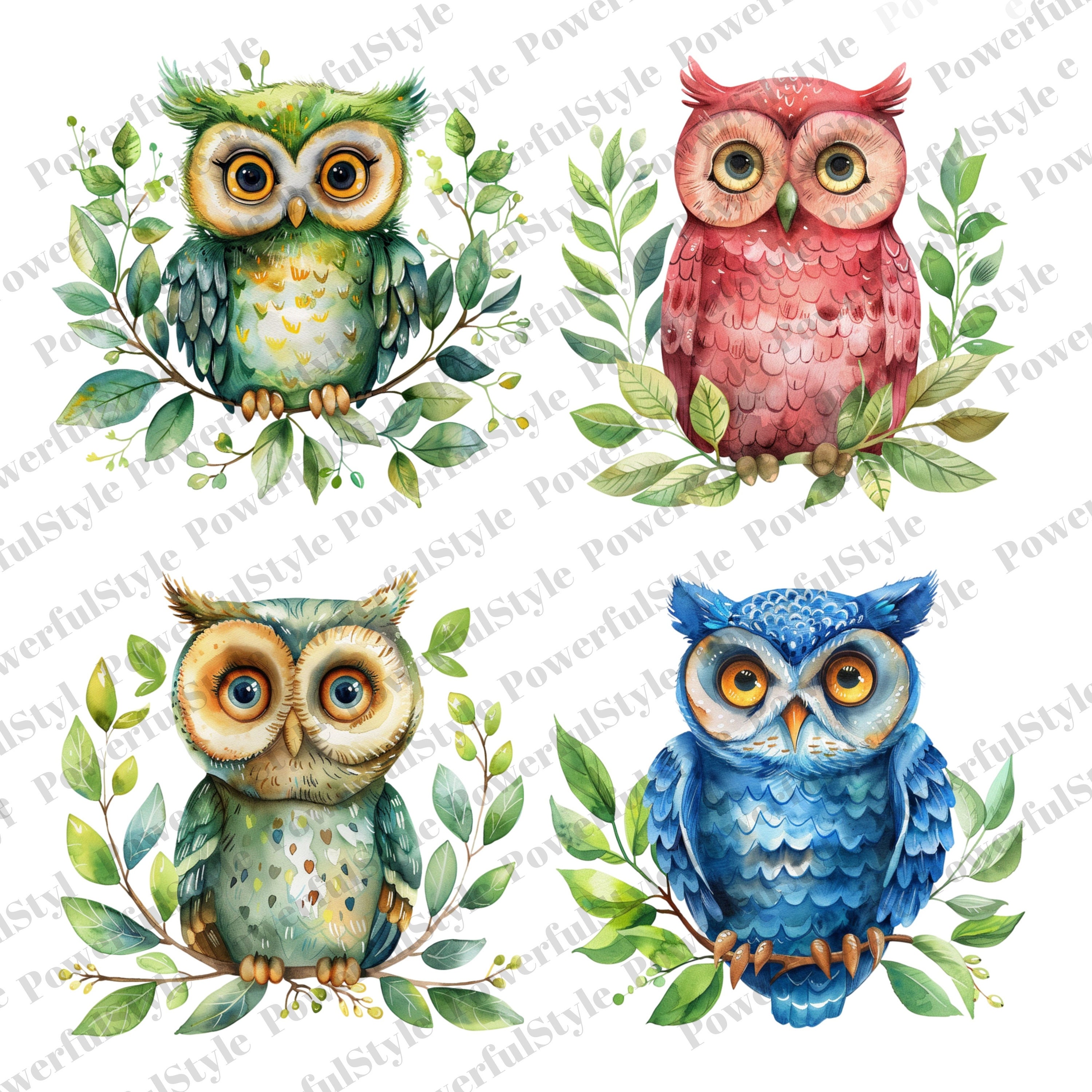 Adorable Baby Owl Clipart Bundle, 20 High-quality PNG With Transparent ...