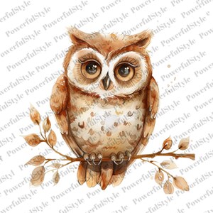 14 Adorable Owl Clipart, Watercolor Owl Illustration, Cute Aquarelle ...