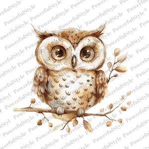 14 Adorable Owl Clipart, Watercolor Owl Illustration, Cute Aquarelle ...