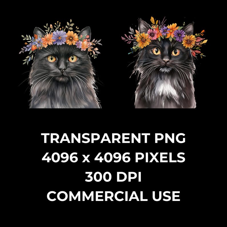 Cats Clipart Bundle Cute Cat PNG Kitten Graphics Happy Baby Animals ...