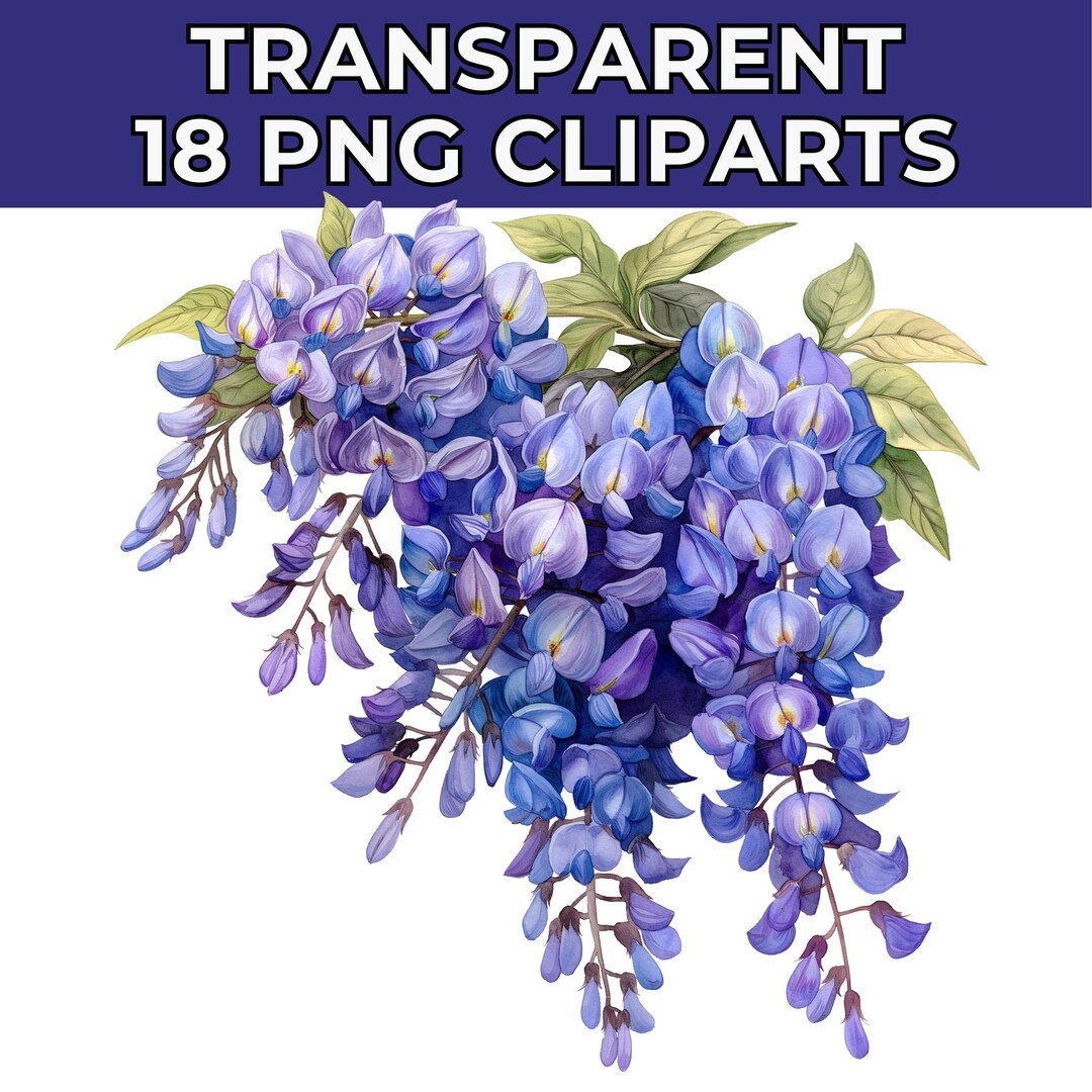 Wisteria Clipart | Watercolor Clipart | Paper Crafts | Purple Flowers ...